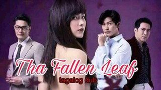 THE FALLEN LEAF TAGALOG DUB EP 1 - BiliBili