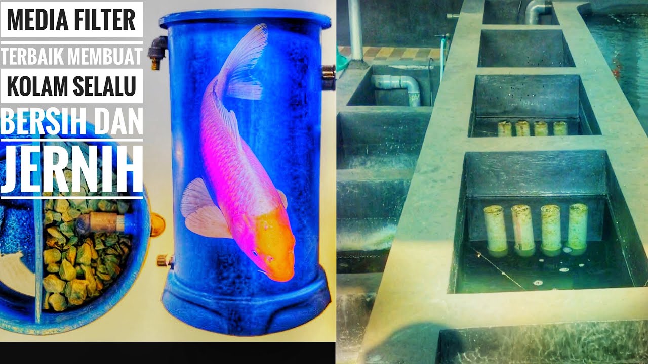 Filter Kolam Ikan Koi