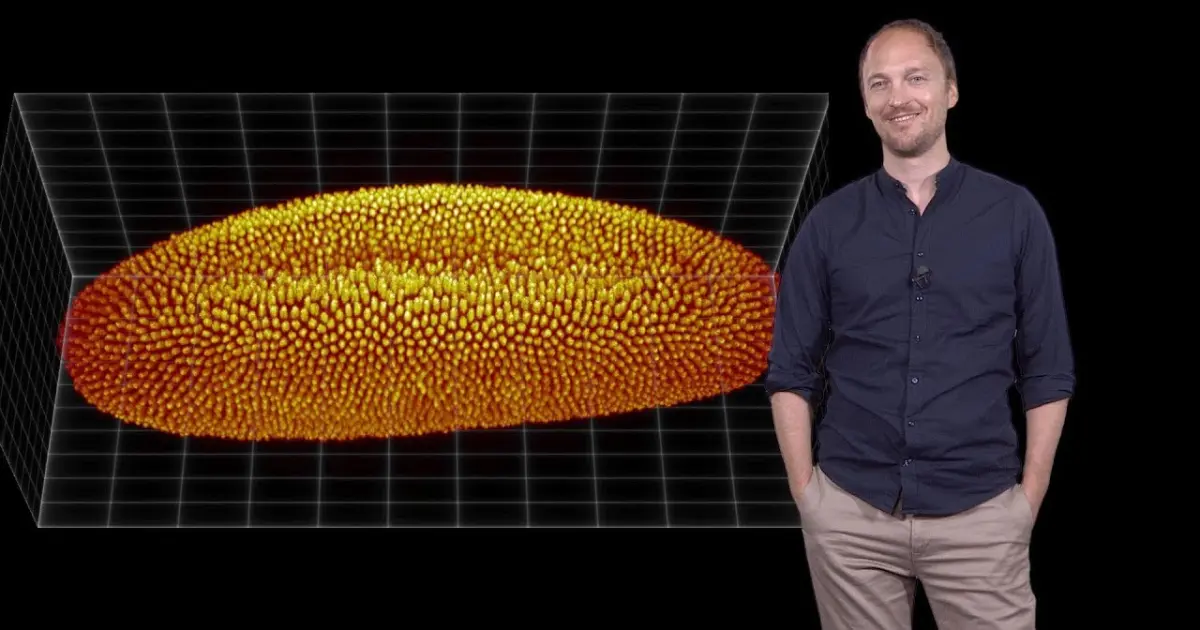 Multi-Dimensional Microscopy Datasets - Loic Royer (CZ Biohub) - Bilibili