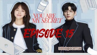 You Are My Secret ep 1 (sub indo) - Bstation