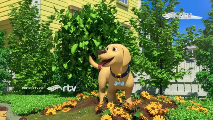 Bstation Cari - rainbow ruby