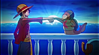 Komuk muka Luffy ama Zoro 🤣 - Bstation