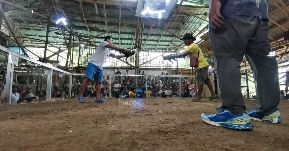 Joe goode grey 1x winner - Bilibili