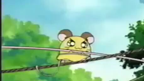 Bstation Cari - Hamtaro