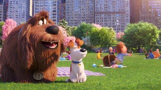 Flash The Sloth Laughing Scene - ZOOTOPIA (2016) Movie Clip - BiliBili