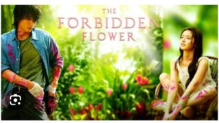 THE FORBIDDEN FLOWER Ep.2 Tagalog Dubbed - BiliBili