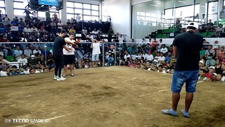 zapote cockpit - BiliBili