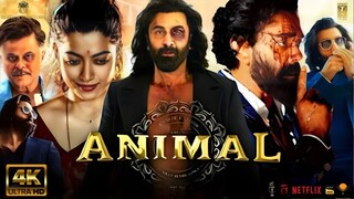 ANIMAL FULL MOVIE IN HINDI 1080P AND 4K QUALITY 🔥🔥 - BiliBili