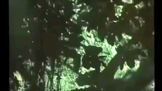 FULL MOVIE: Roman Rapido (1983) | FPJ Collection - BiliBili