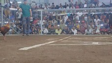 June,3, 2023New Imus Cockpit Arena opening 1cock ulutan2wins - BiliBili