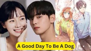 A G🇰🇷🇰🇷d Day t0 be A 🐕Ep 10 Eng-Sub - BiliBili
